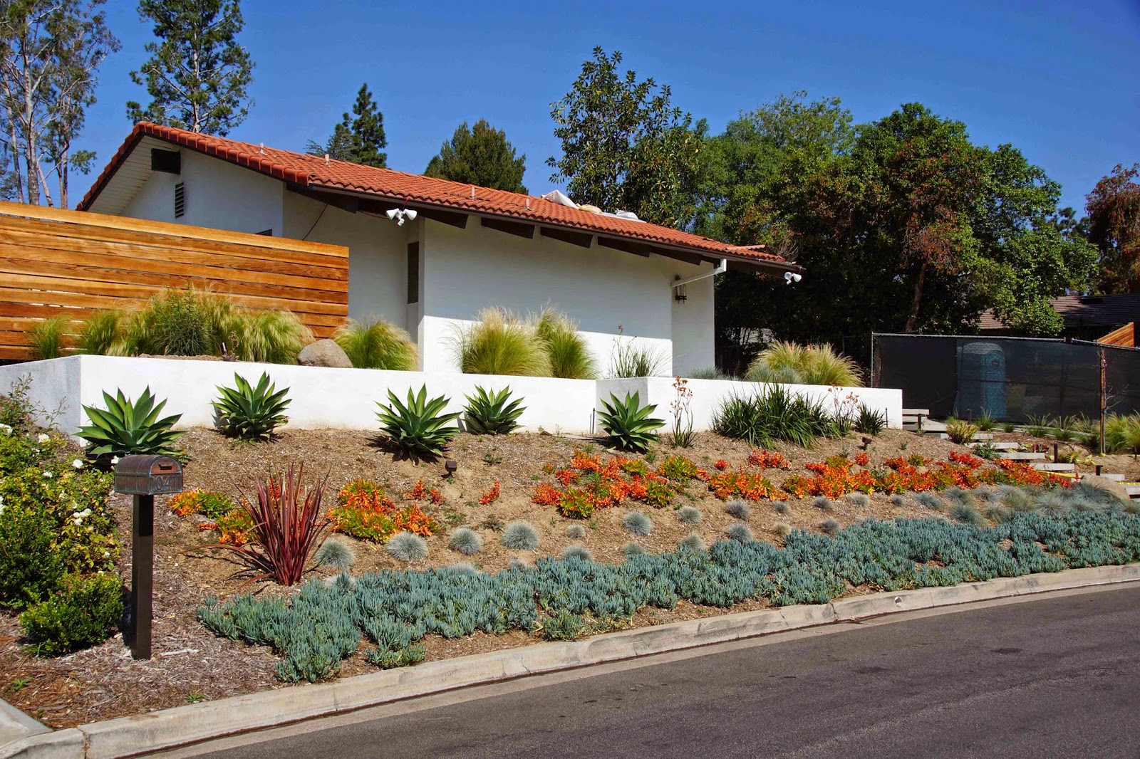 More Lawnless Front Yards