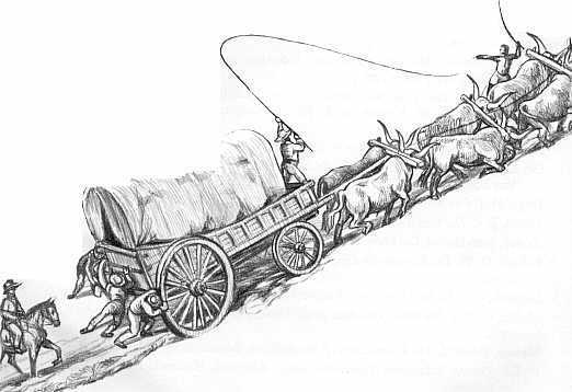 In the Shadow of the Baobab: Die Ossewa