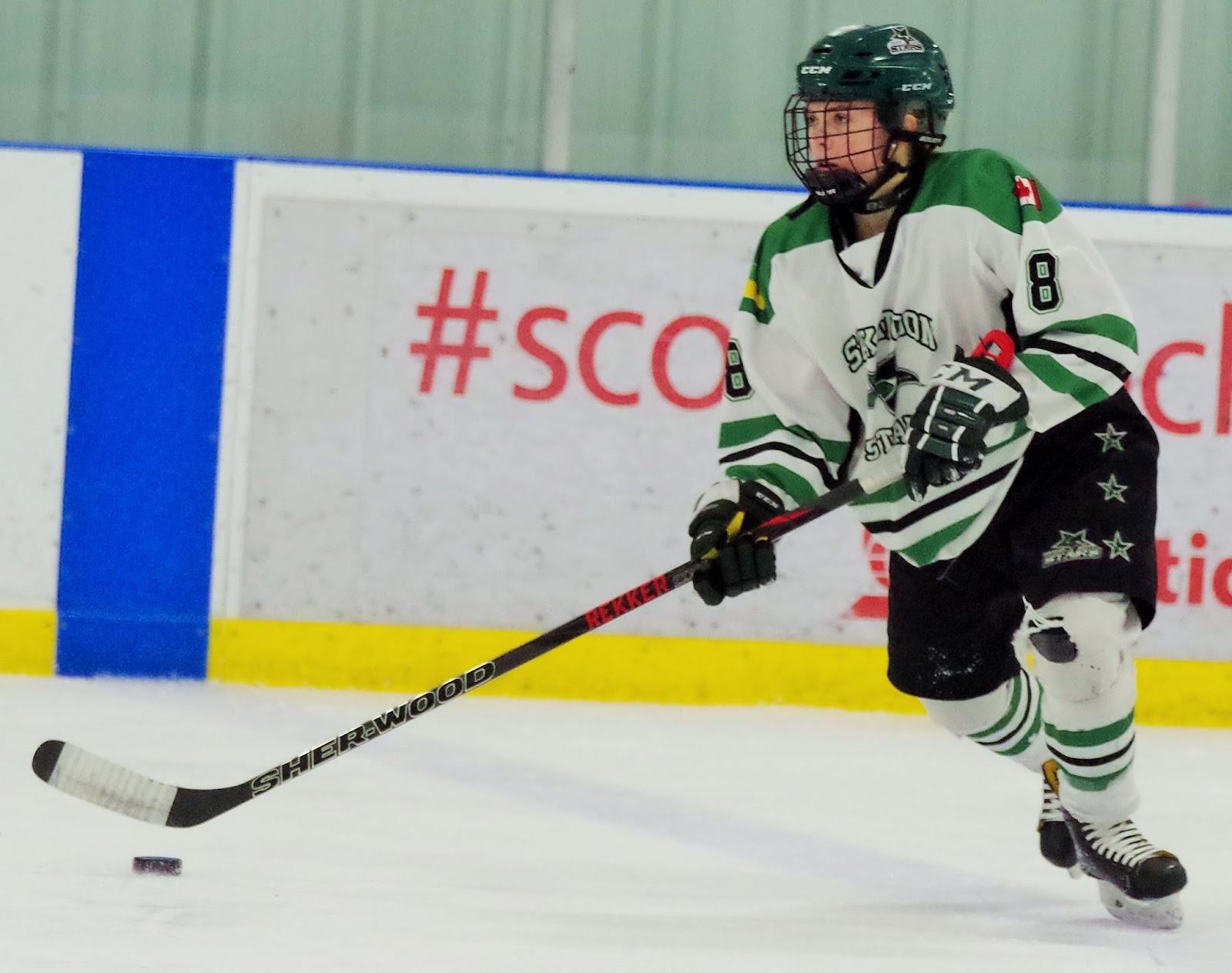 Stanks' Sermon: Messier, Leschyshyn blast Stars into fourth straight ...