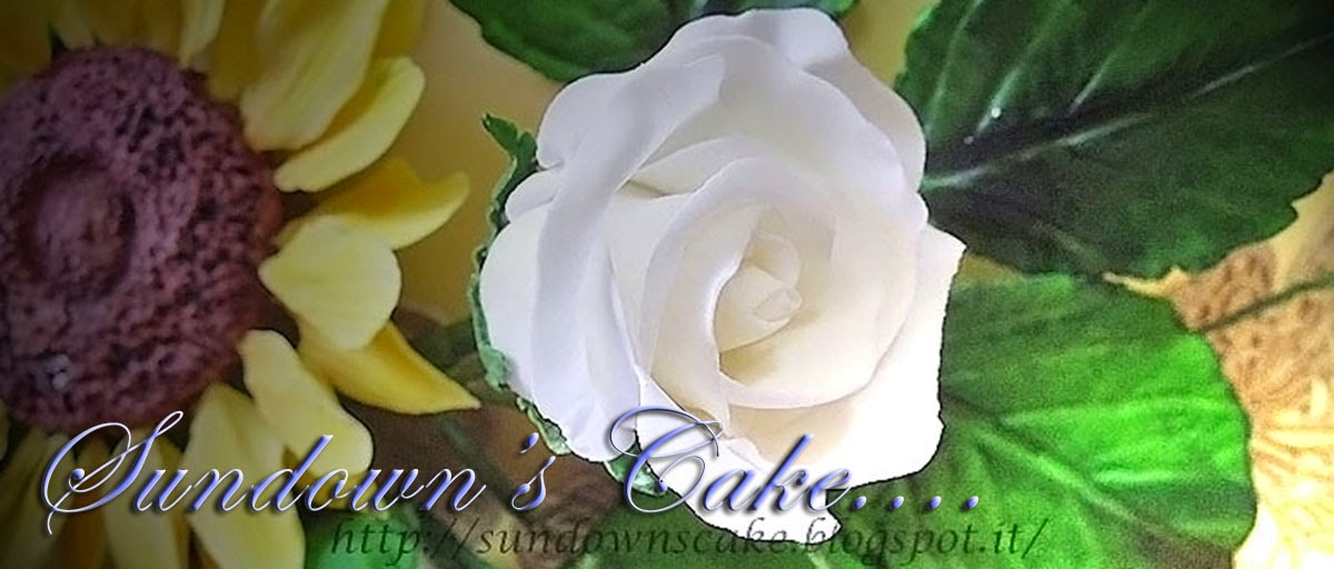 Sundown's Cake: Tutorial effetto esplosione