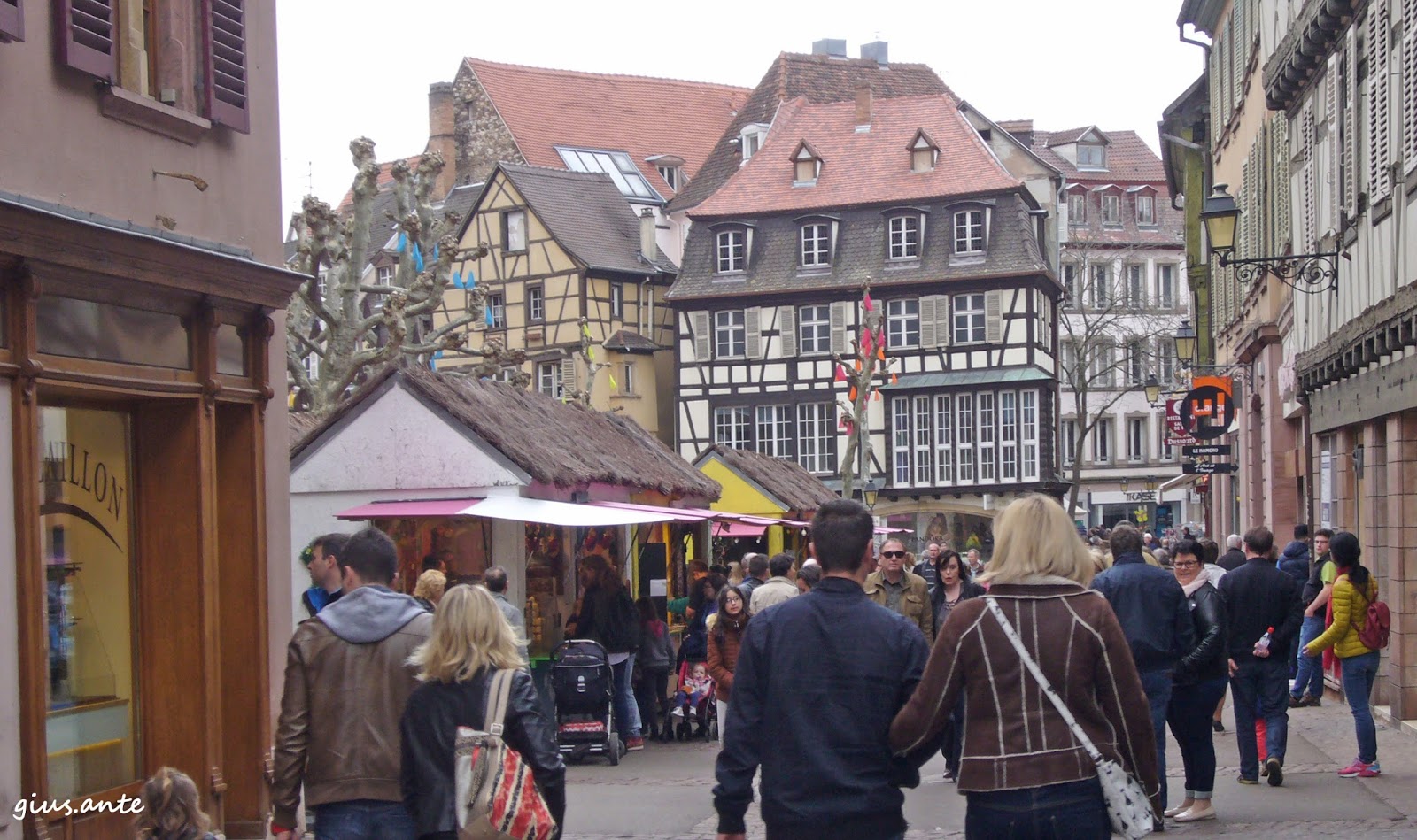 camminare leggendo: Colmar, la Madonna del roseto