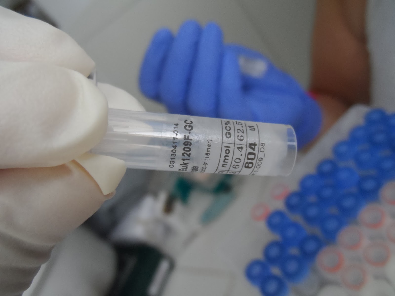 ecotoxicologia-bioensayos: PCR para hongos