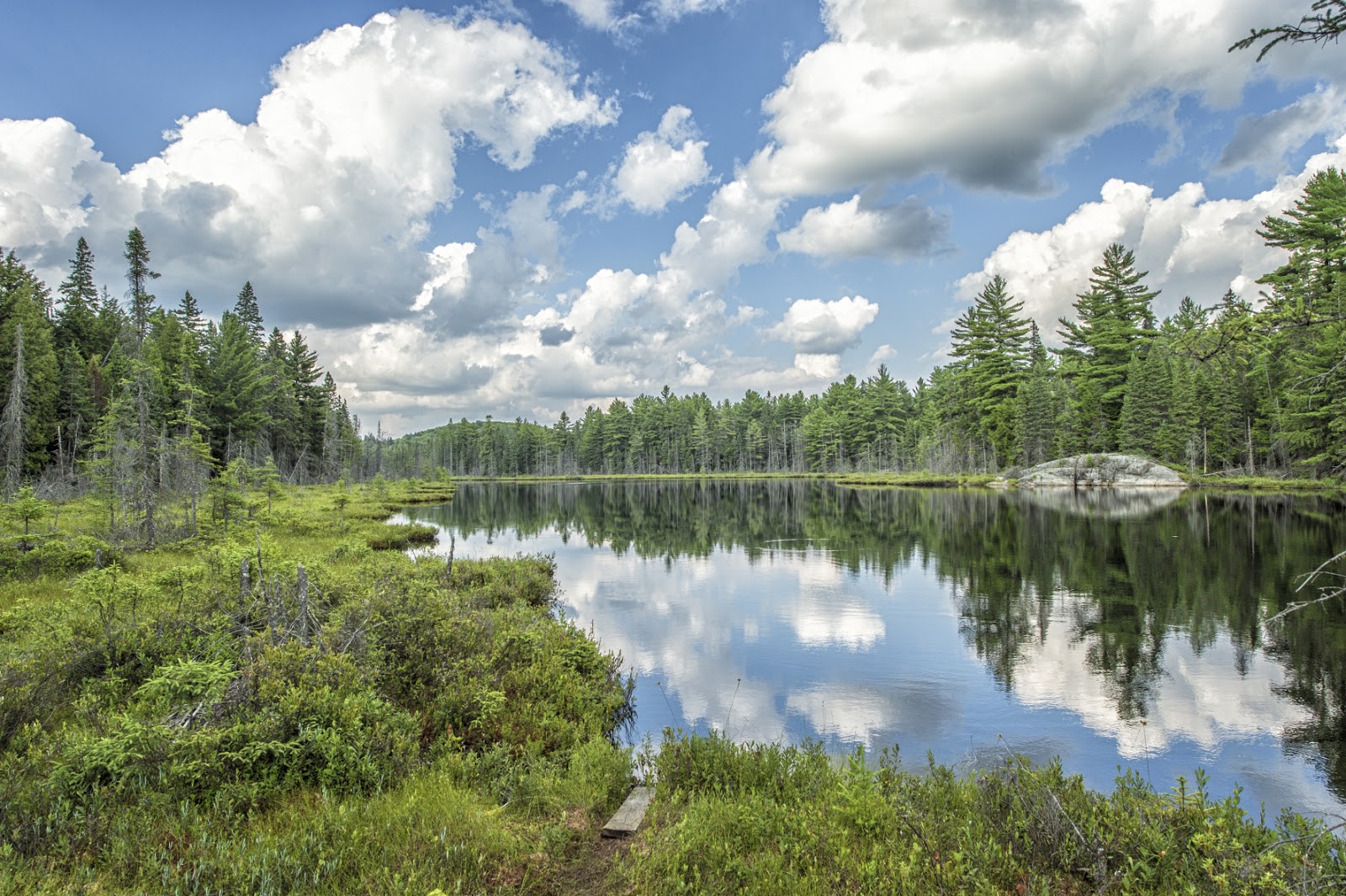 Banco de Imágenes Gratis: Bosques, Lagos y Pantanos. (20 Fotos ...