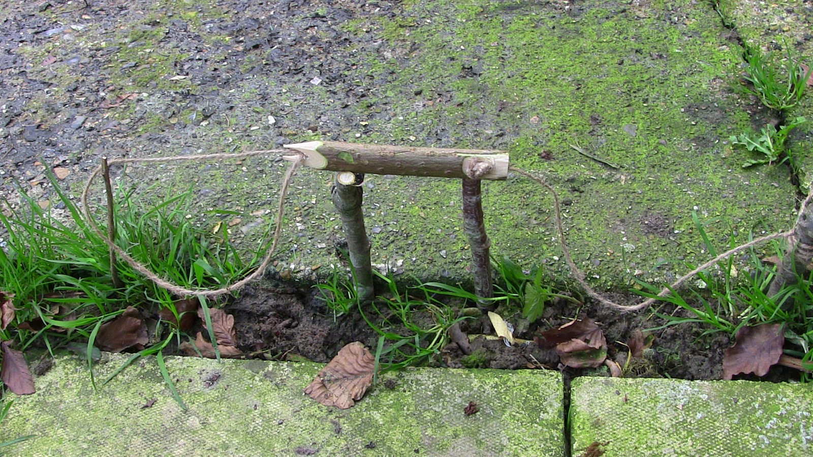 JJR SURVIVAL TRAPS AND SNARES : a book of engines and traps, L Mascall ...