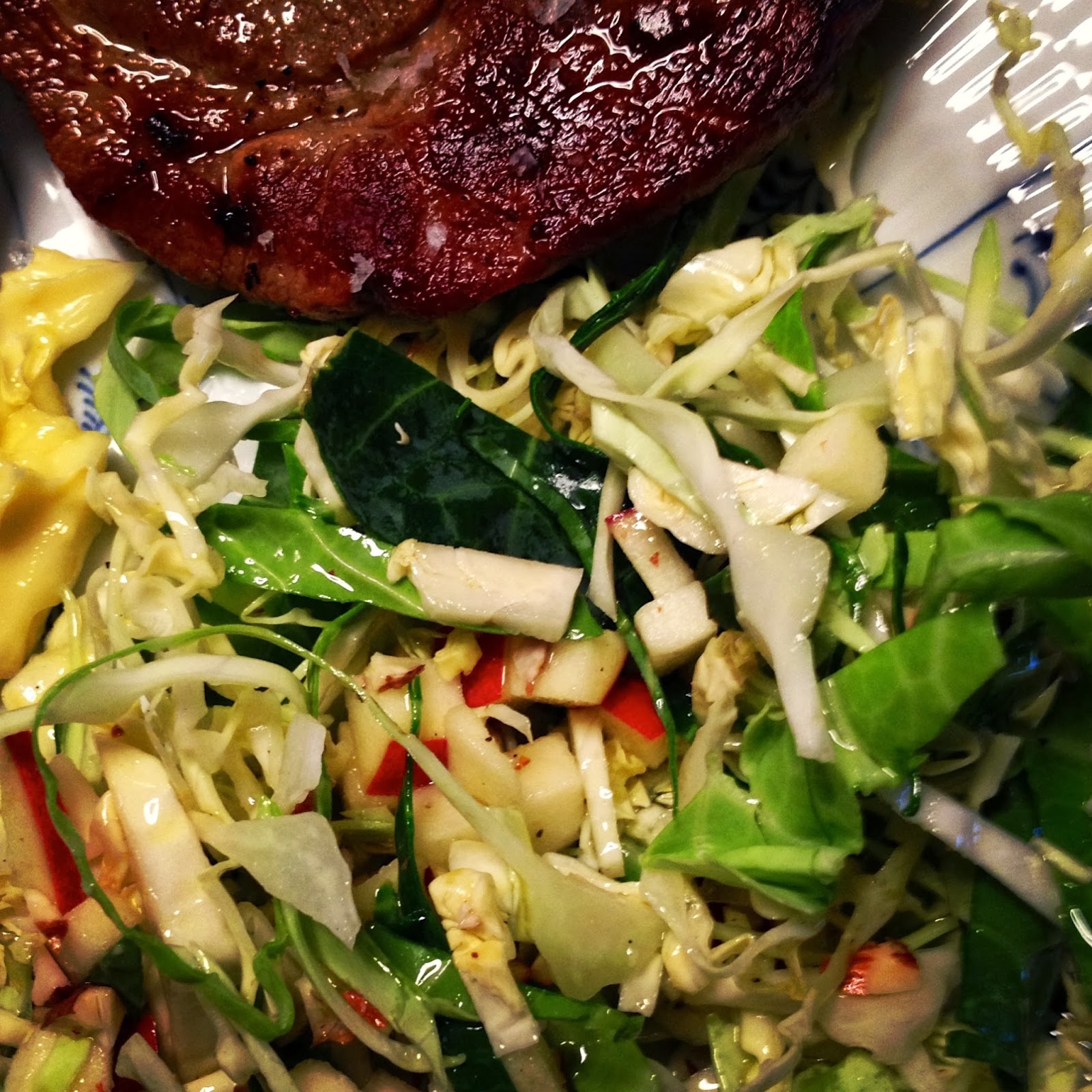 FOR 2 KR. BLANDET: Inspiration til sunde retter og resultater indtil videre