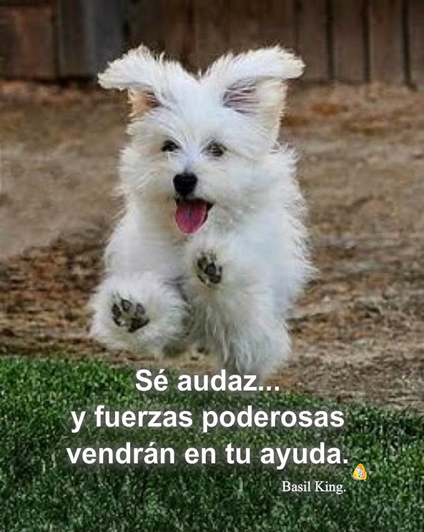 Stand de imágenes: Grupo 2. Imágenes 6 a 10