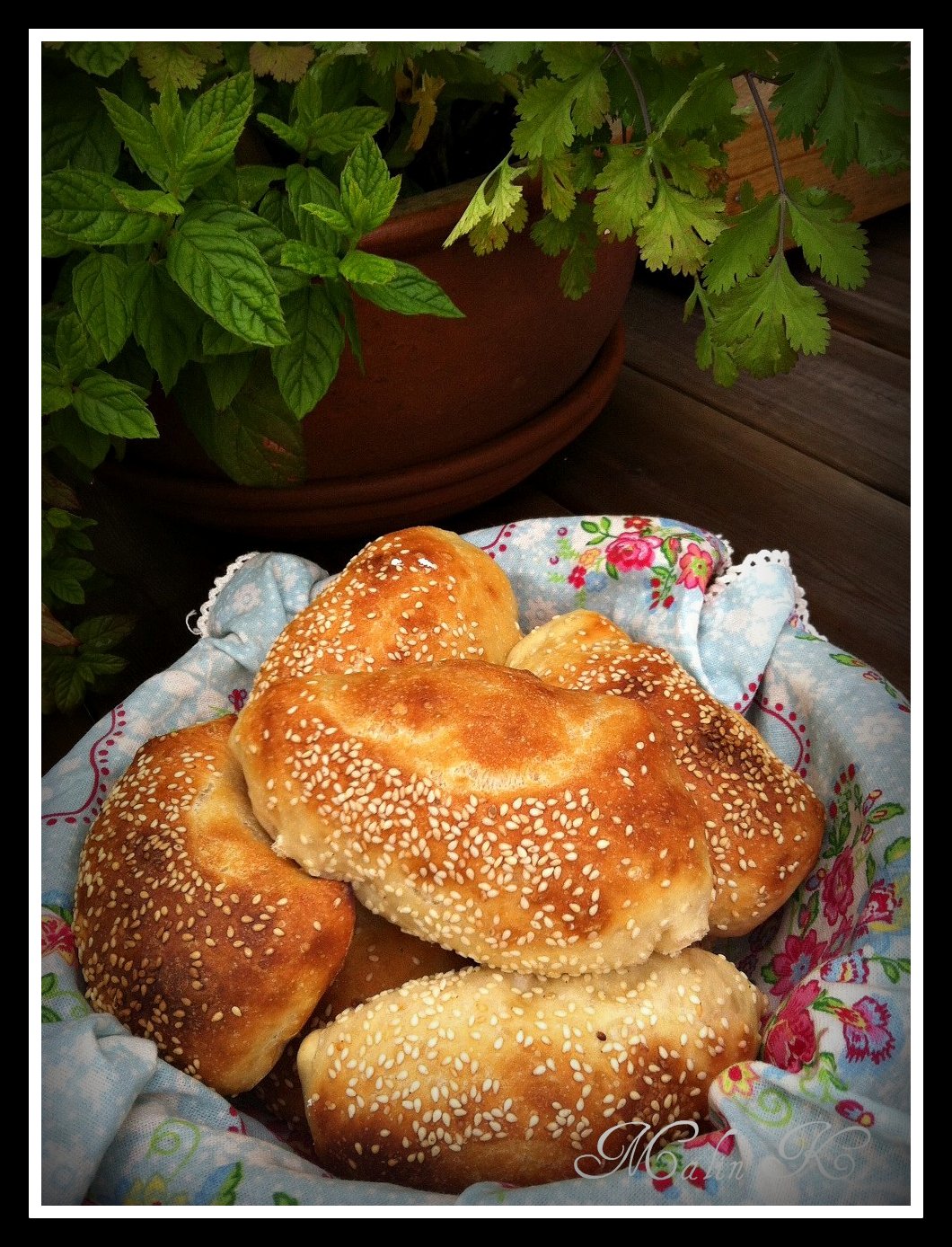 Malin's Diner: SESAMFRALLOR