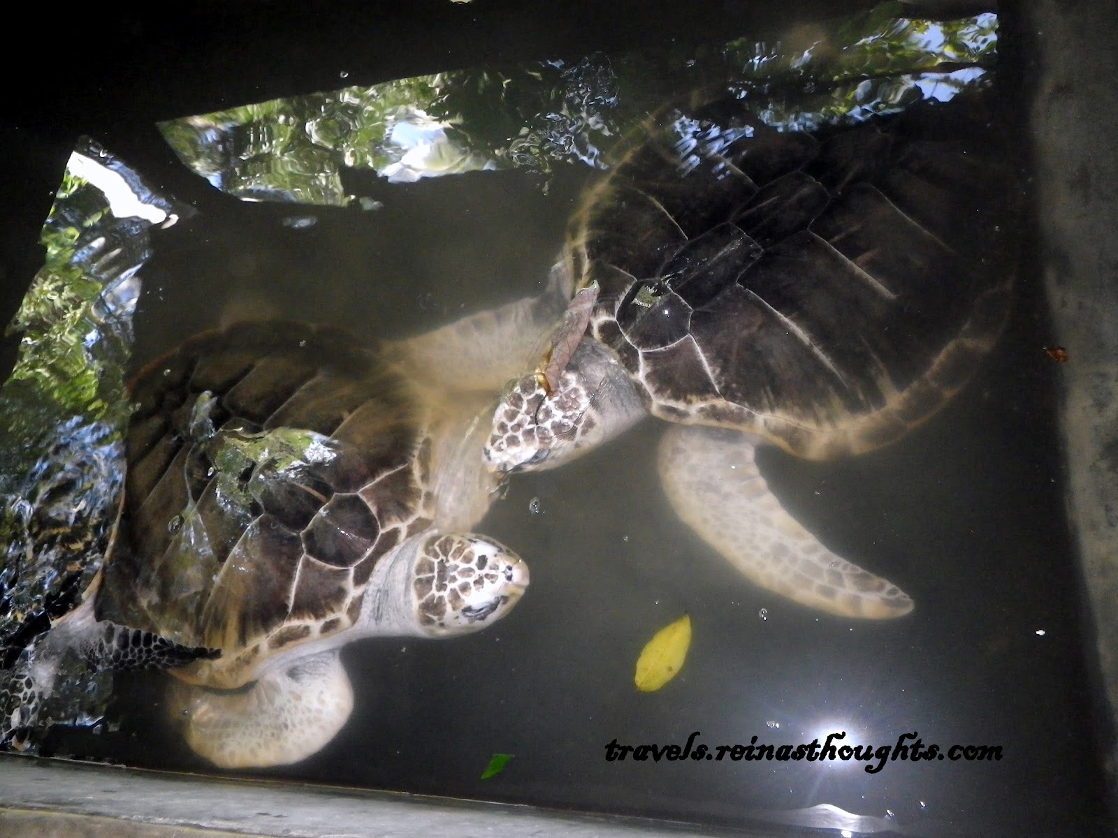 Lebak, Sultan Kudarat