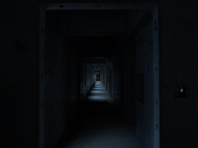 The Endless Corridor