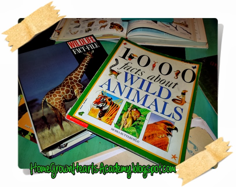 Home Grown Hearts Academy Homeschool Blog: Wild Animals/Nature Unit ...