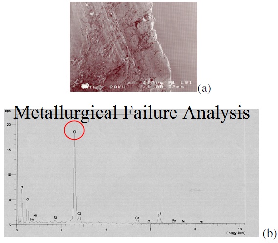 Metallurgical Failure Analysis: สิงหาคม 2018