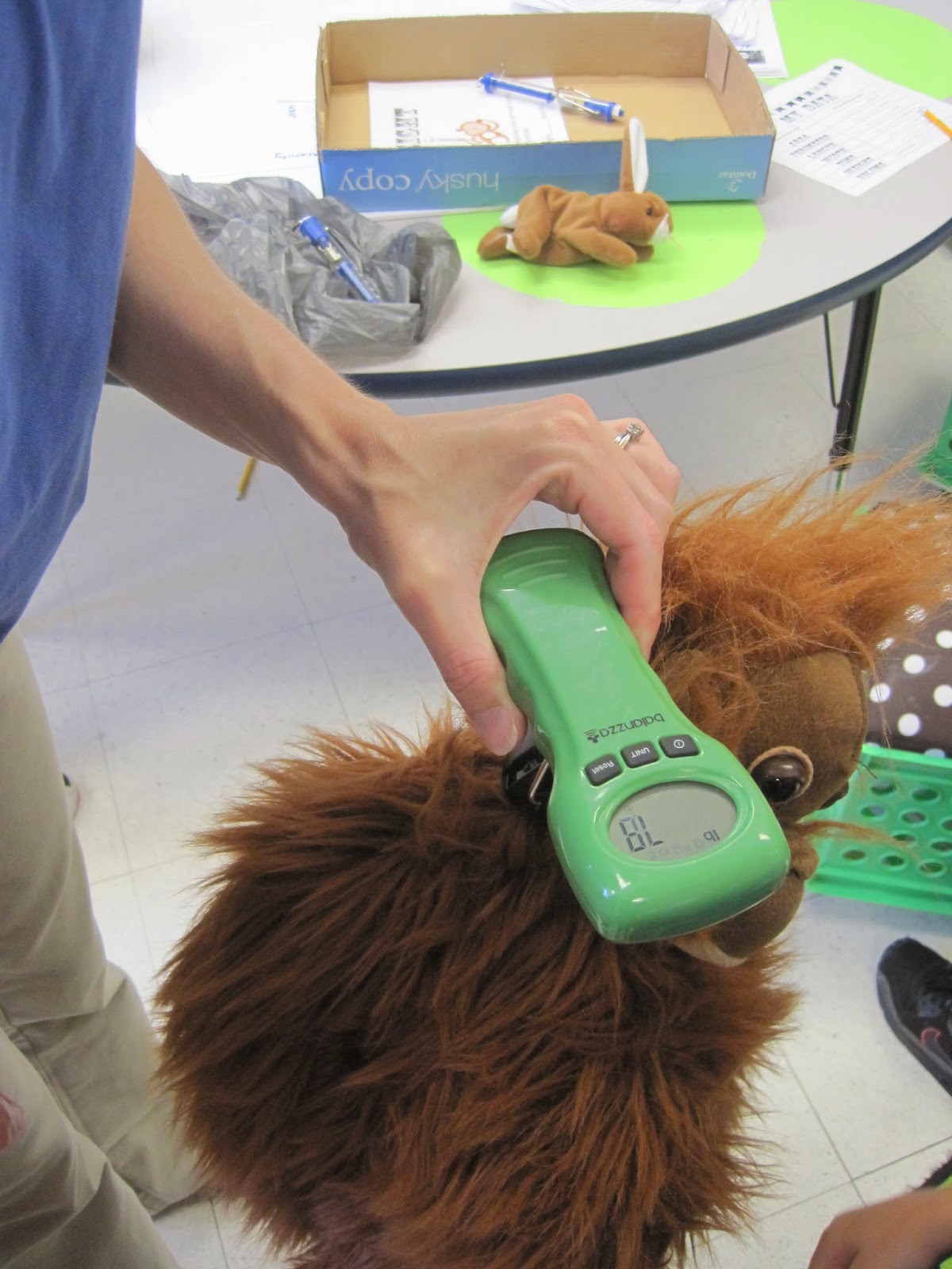 Flamingo Fabulous: Measurement Fair!