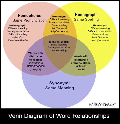 EnglishInFavour: Homonyms, homophones and homographs