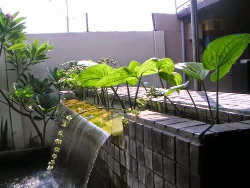 Tips Sebelum Membuat Kolam Koi ~ Anjung Laman