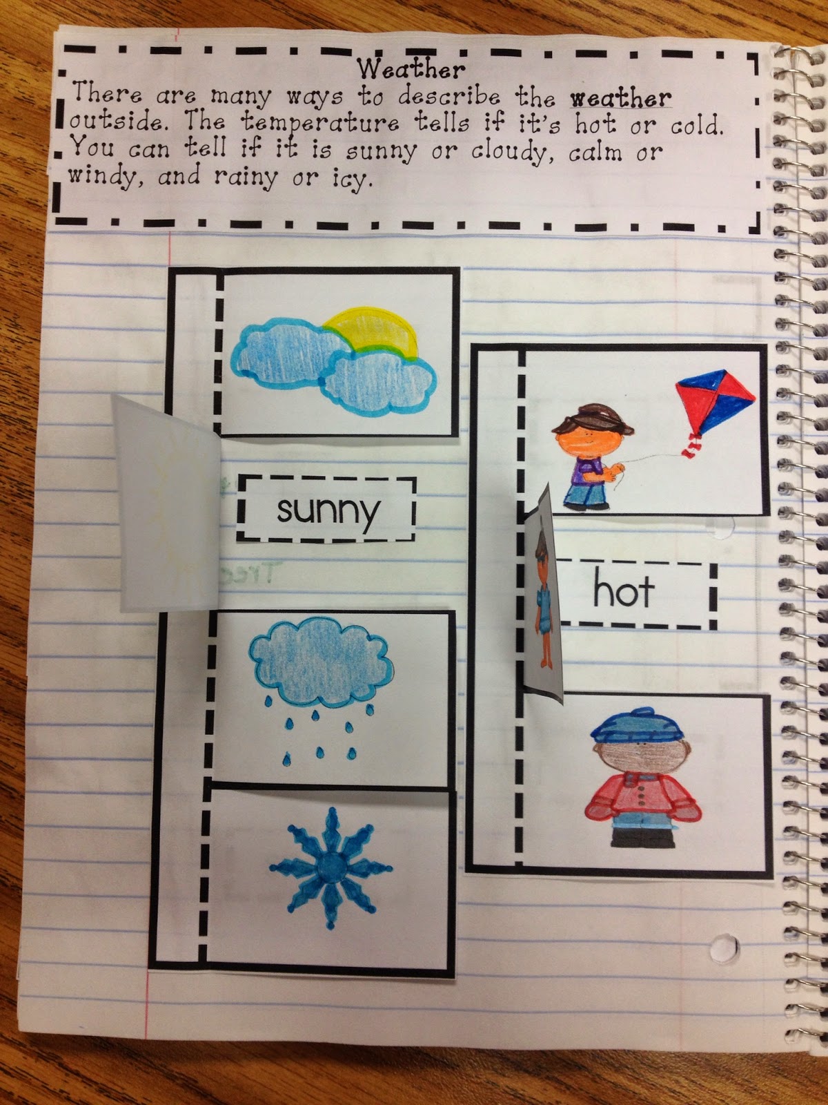 Live, Laugh, Teach First Grade: Science Interactive Notebook!!