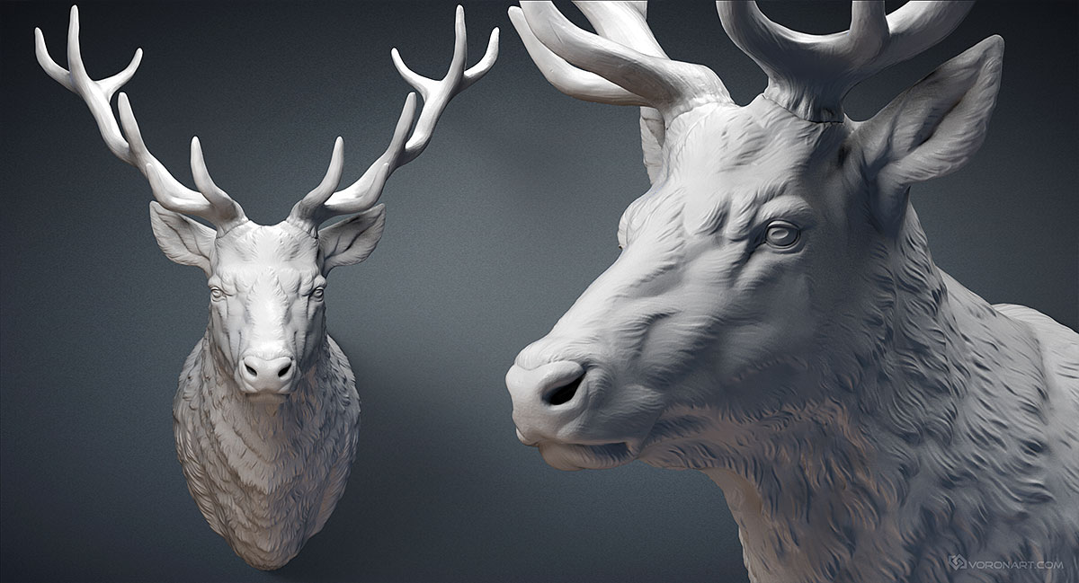 voronartcom. 3d-characters: Deer Stag head sculpture. Solid 3D model ...