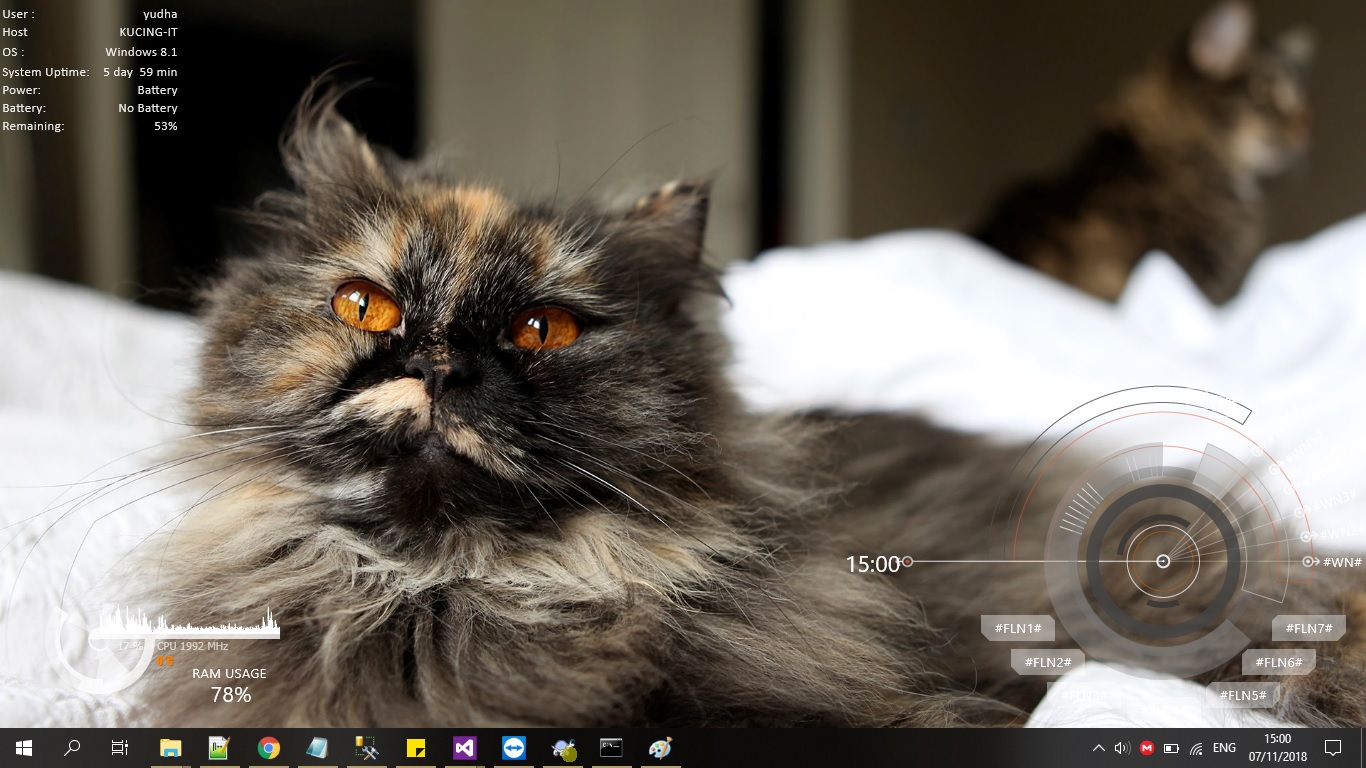 Windows 10 Dengan Tema Kucing ~ Yudha's World