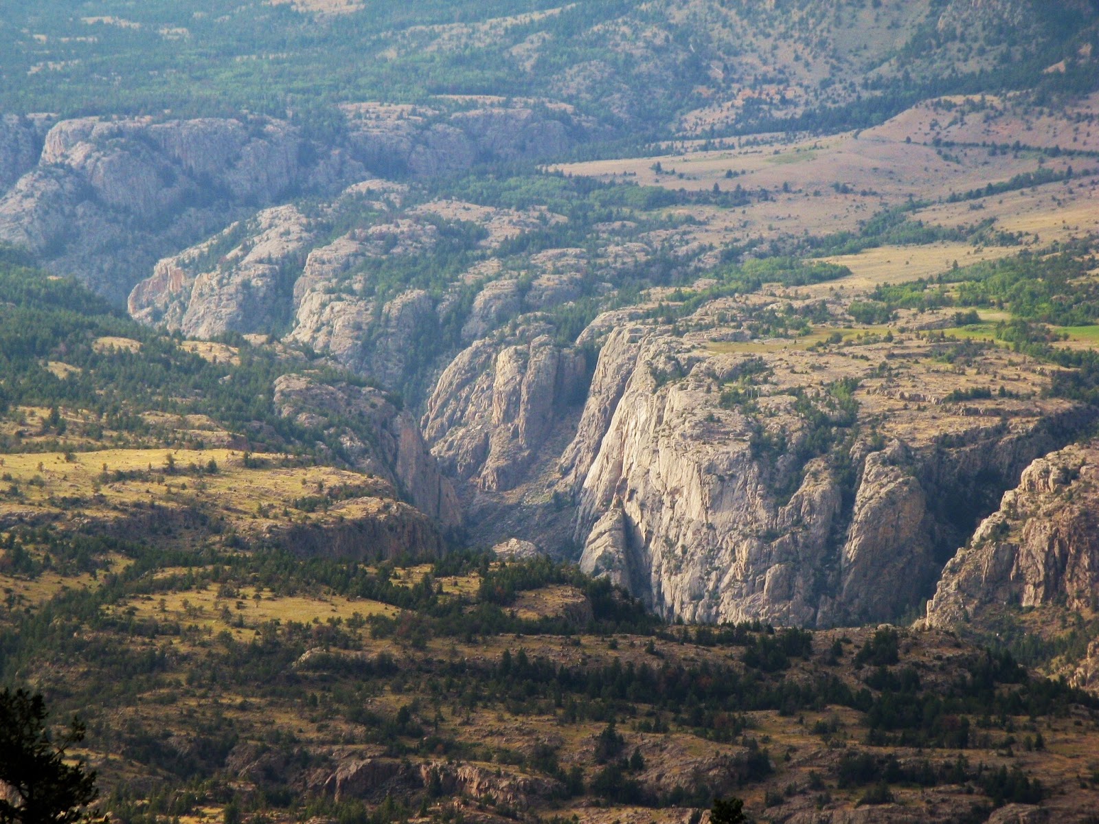 Terry's Trails: Cody, Beartooth Lake, and (talk of) Wolves