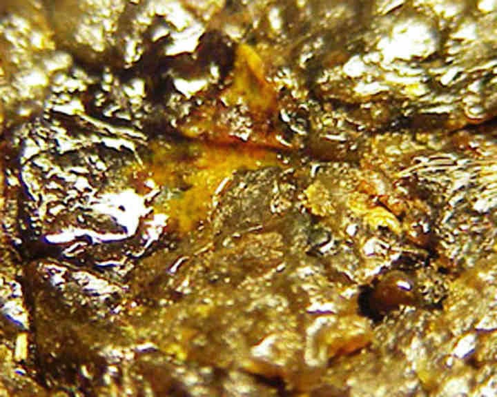 Gambar Propolis Lengkap