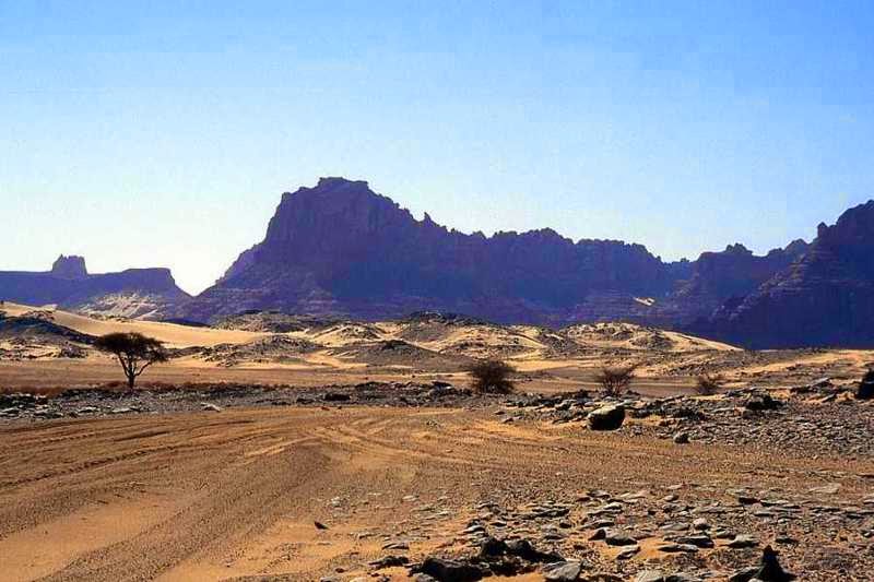 Every Day Is Special: December 1 – Freedom and Democracy Day in Chad