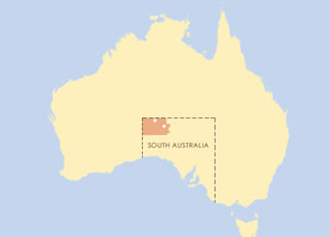 Vanguard: APY Lands People are sick of seagulls….