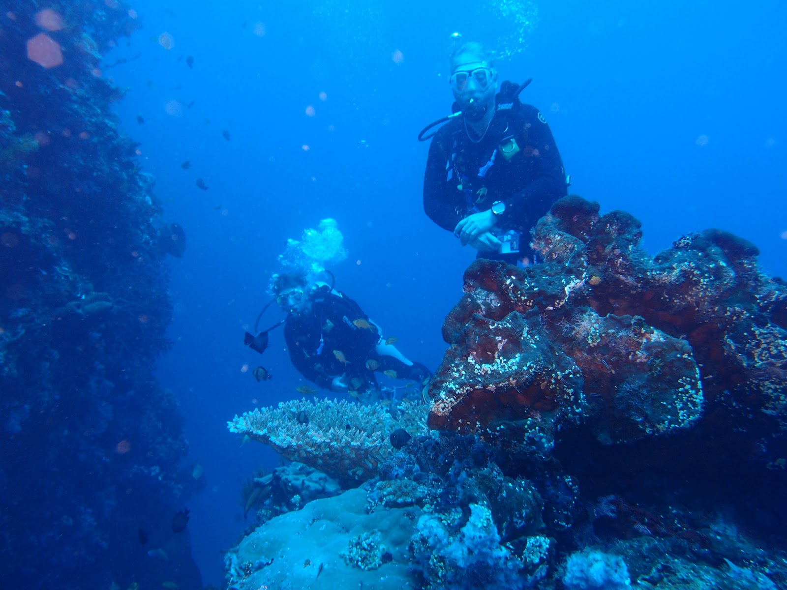 AMED SCUBA BALI DIVING CENTER # FOR THE LOVE OF DIVING: Amed - Tauchen ...