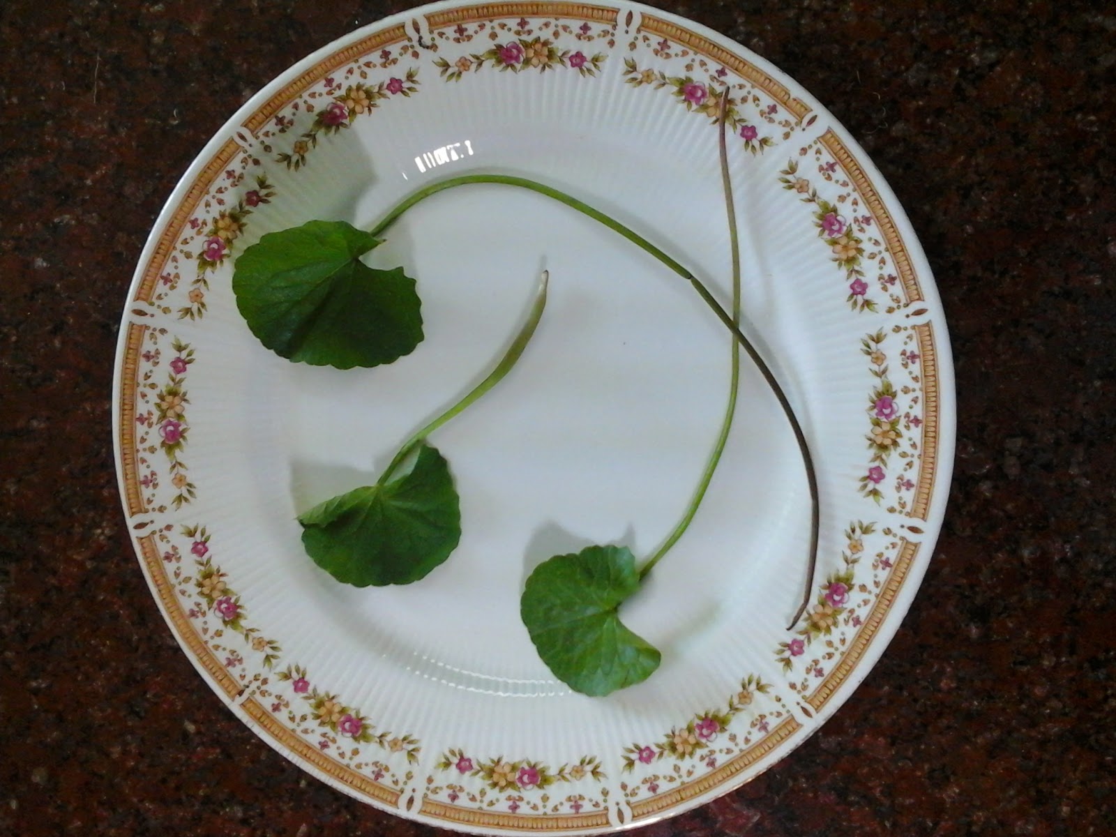 Chitra Amma's Kitchen: Ondelaga Kheer - Centella Milk Shake
