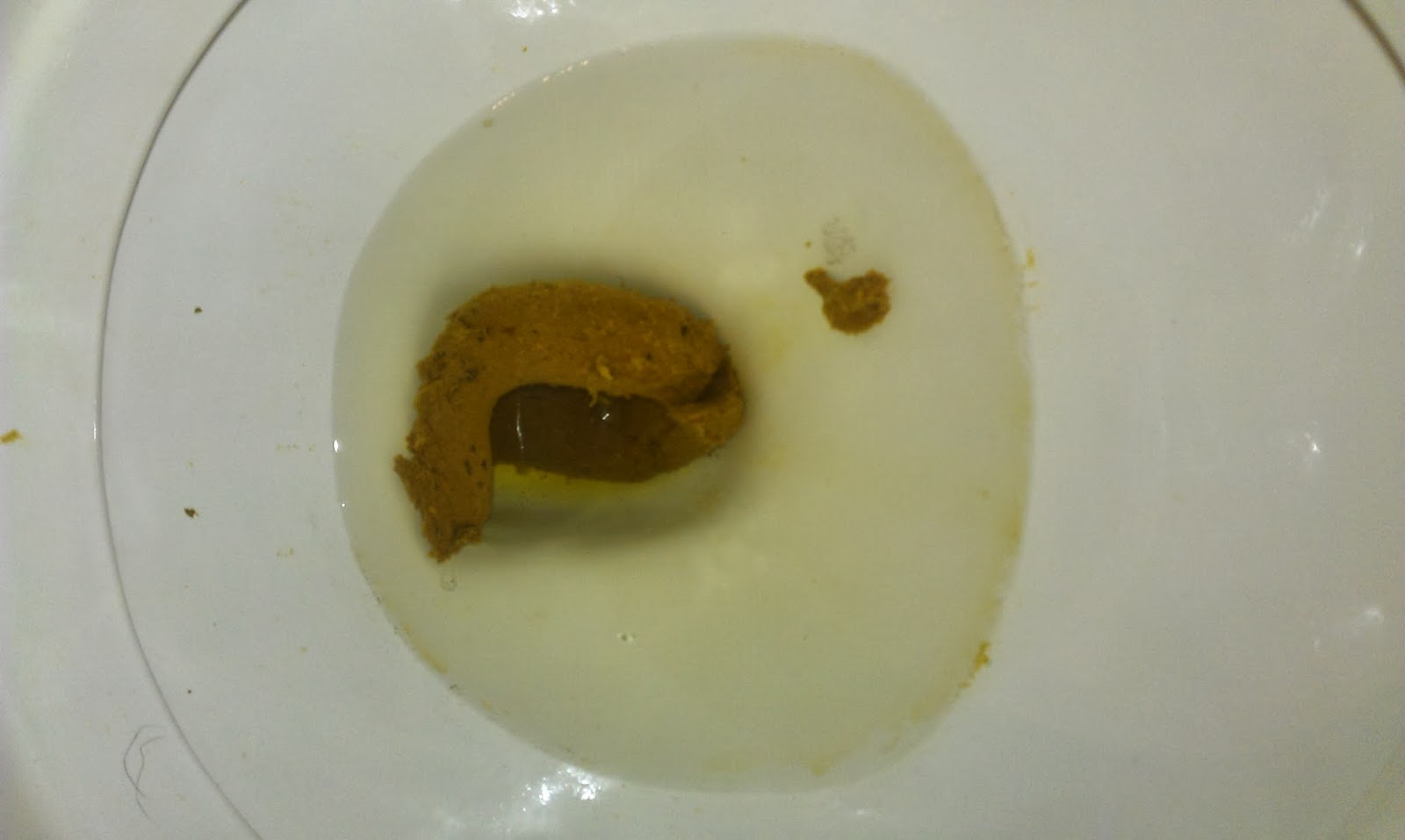 daily poop: poop poop
