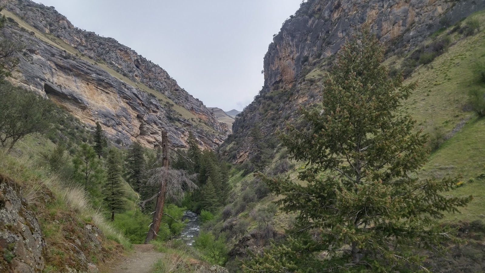 That's Pretty Neat!: Hiking Rapid River Trail For Me!