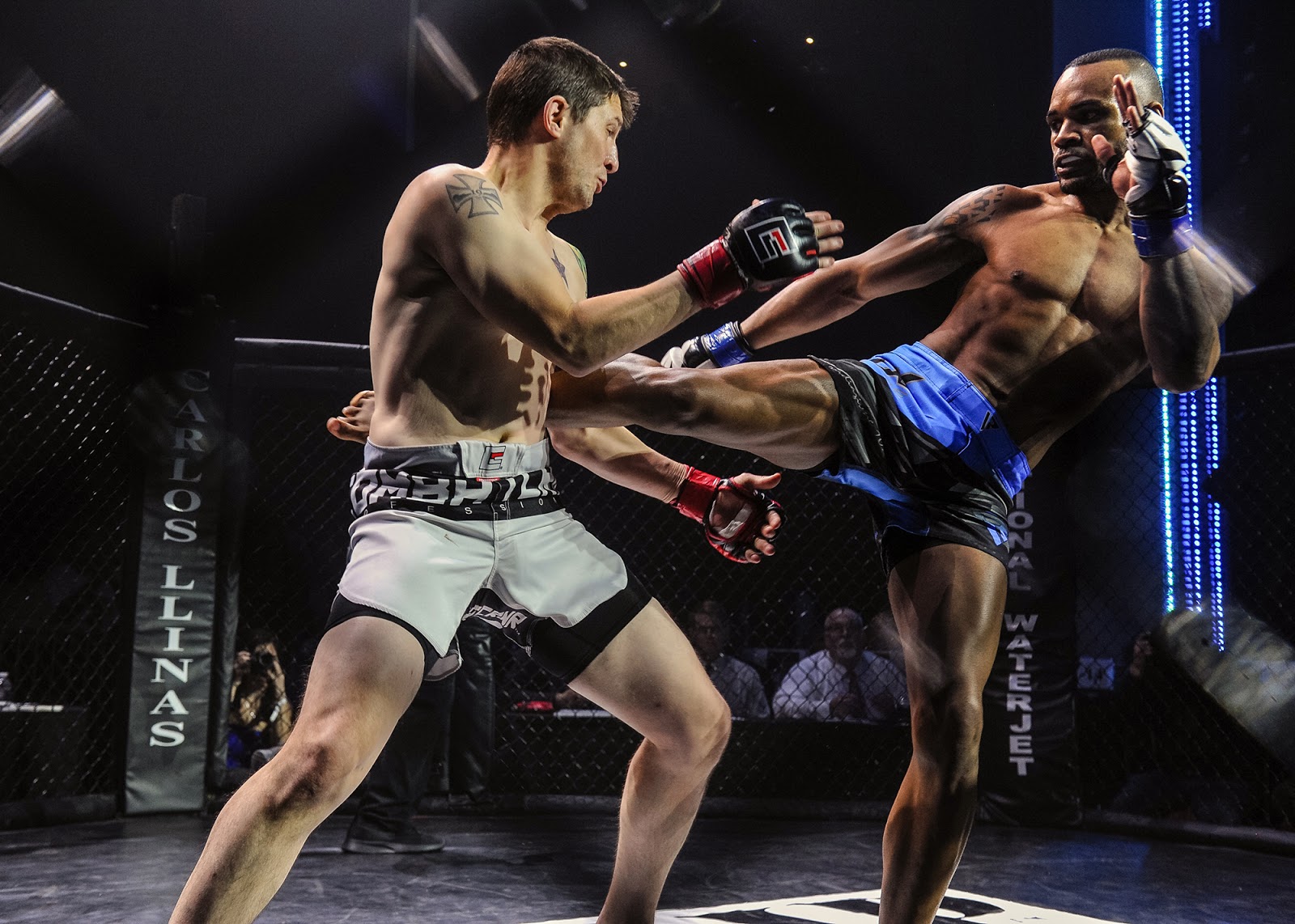 Andrew Potter Photo Blog: 2018