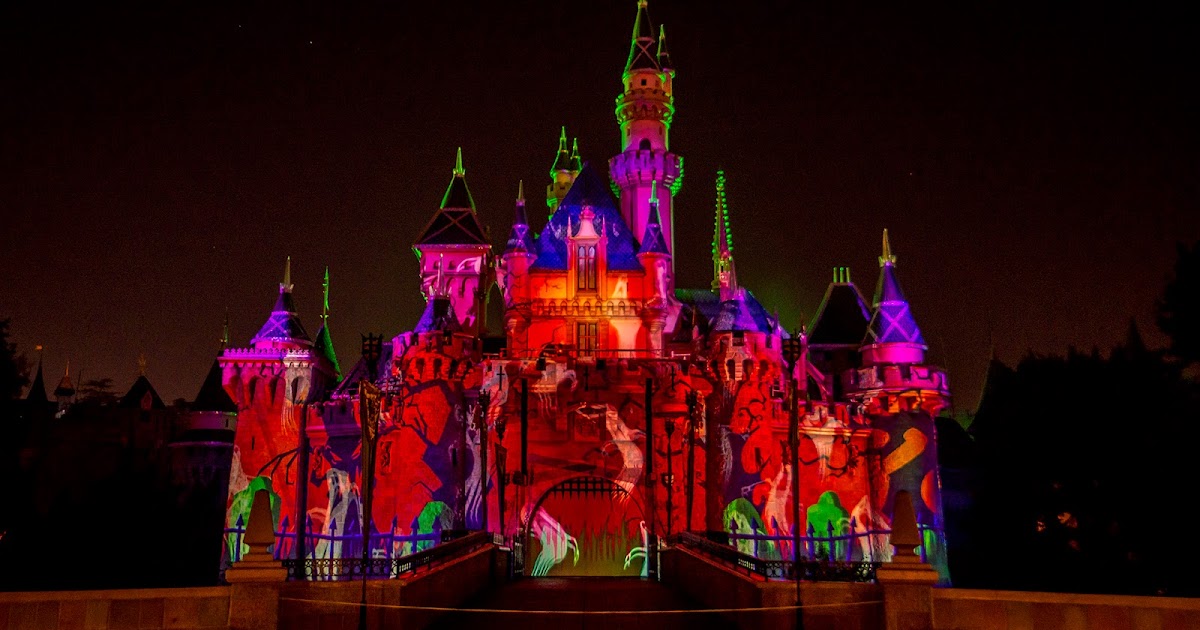 Disney Photoblography