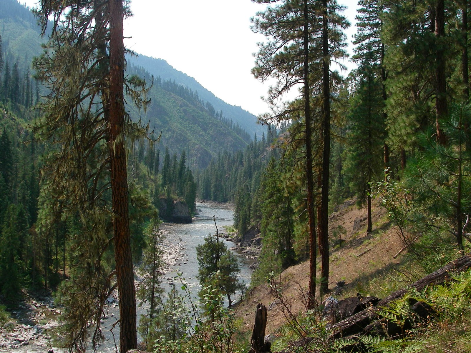 ACA Water Blog: 50th Anniversary of the Wilderness Act