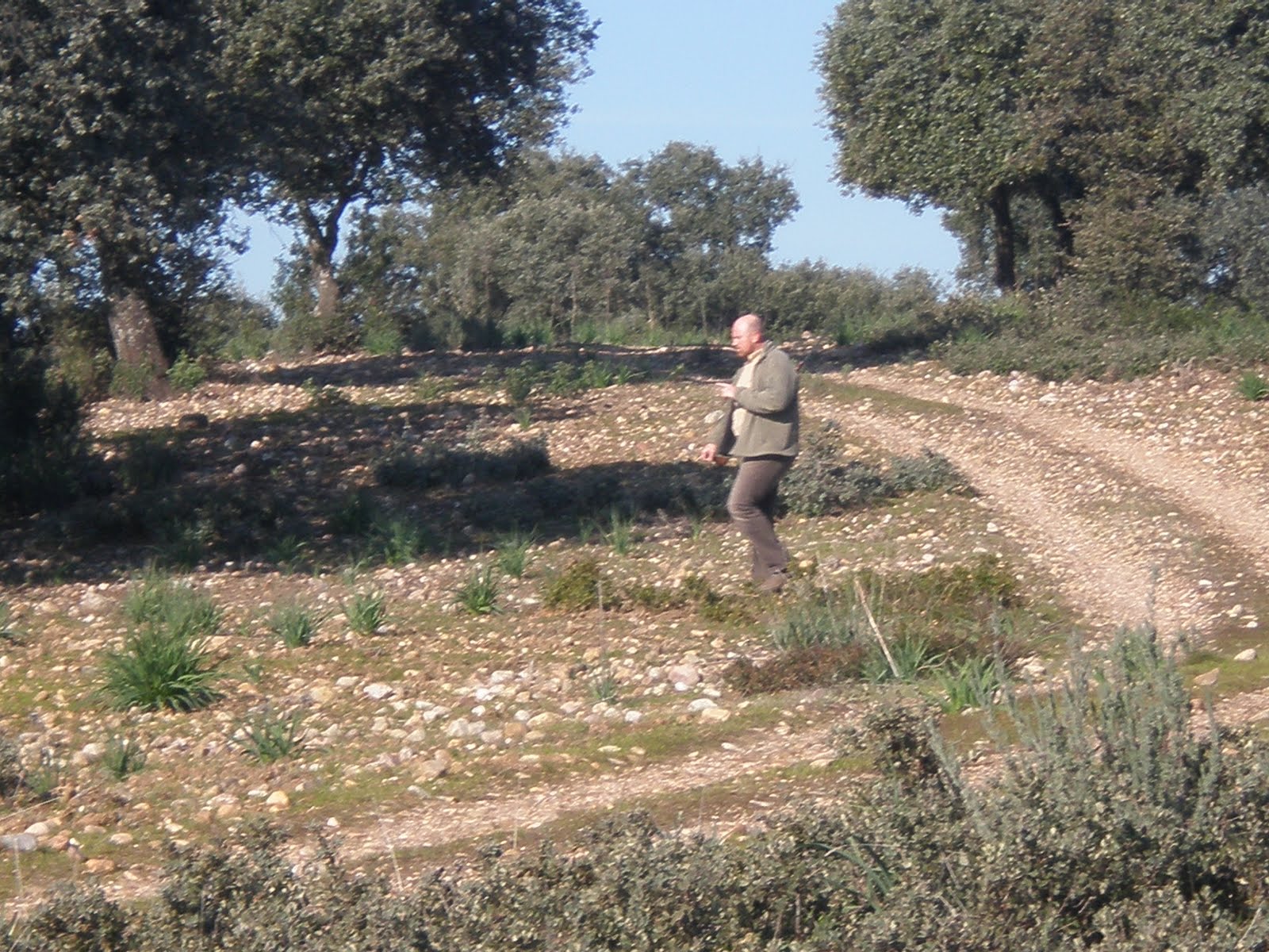 Pasion Cinegetica: EL CHAPARRON. MAS VALE TARDE QUE NUNCA.