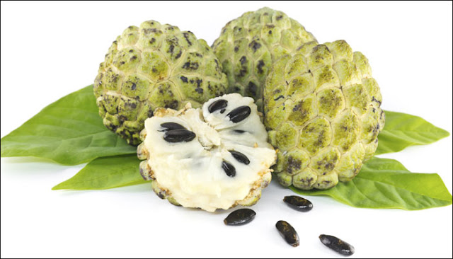 9 Health Benefits Of Custard Apples - Fruit Benefit guides