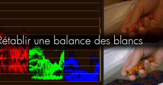 Akache BUSIAH: Tutoriel Première : Rétablir une balance des blancs