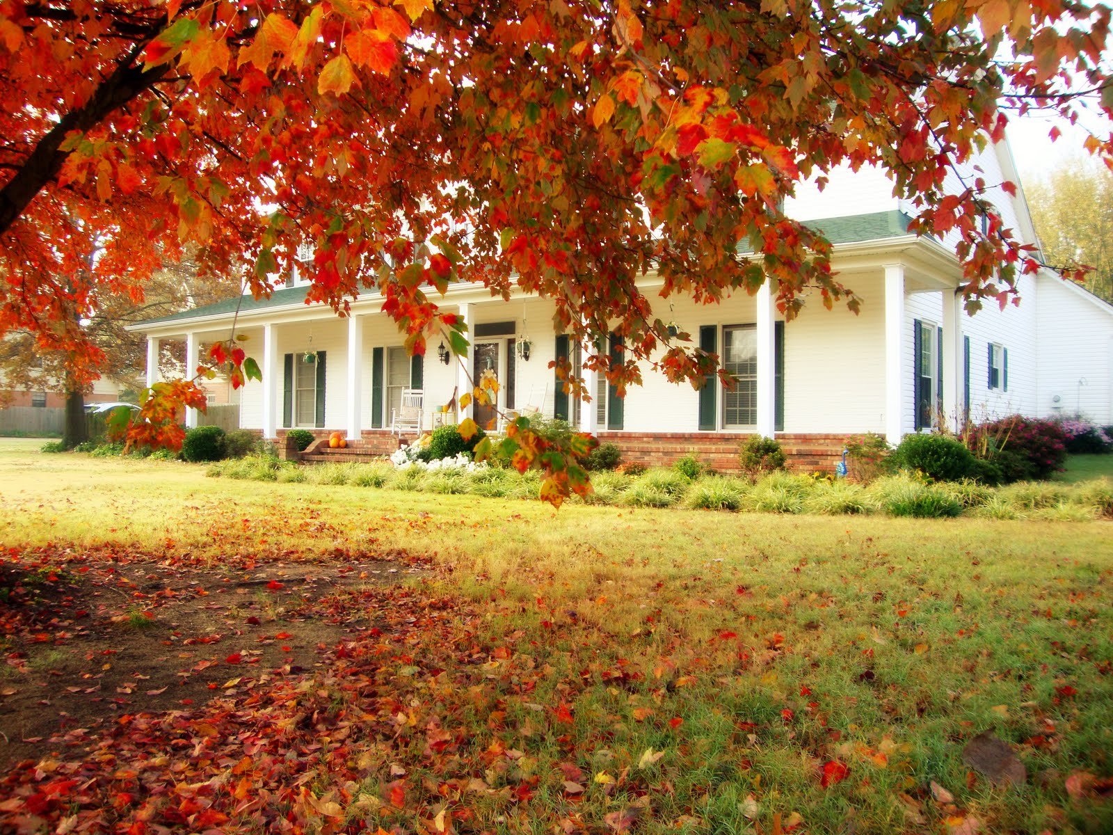 Amazing Grays: Fall Front Porch DIYs: table and chalkboard