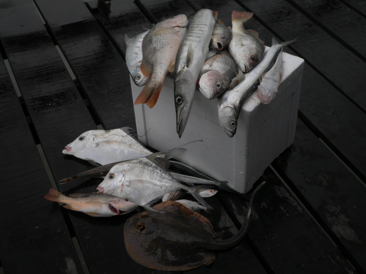 PAKEJ MEMANCING JENAHAK PANGGANG