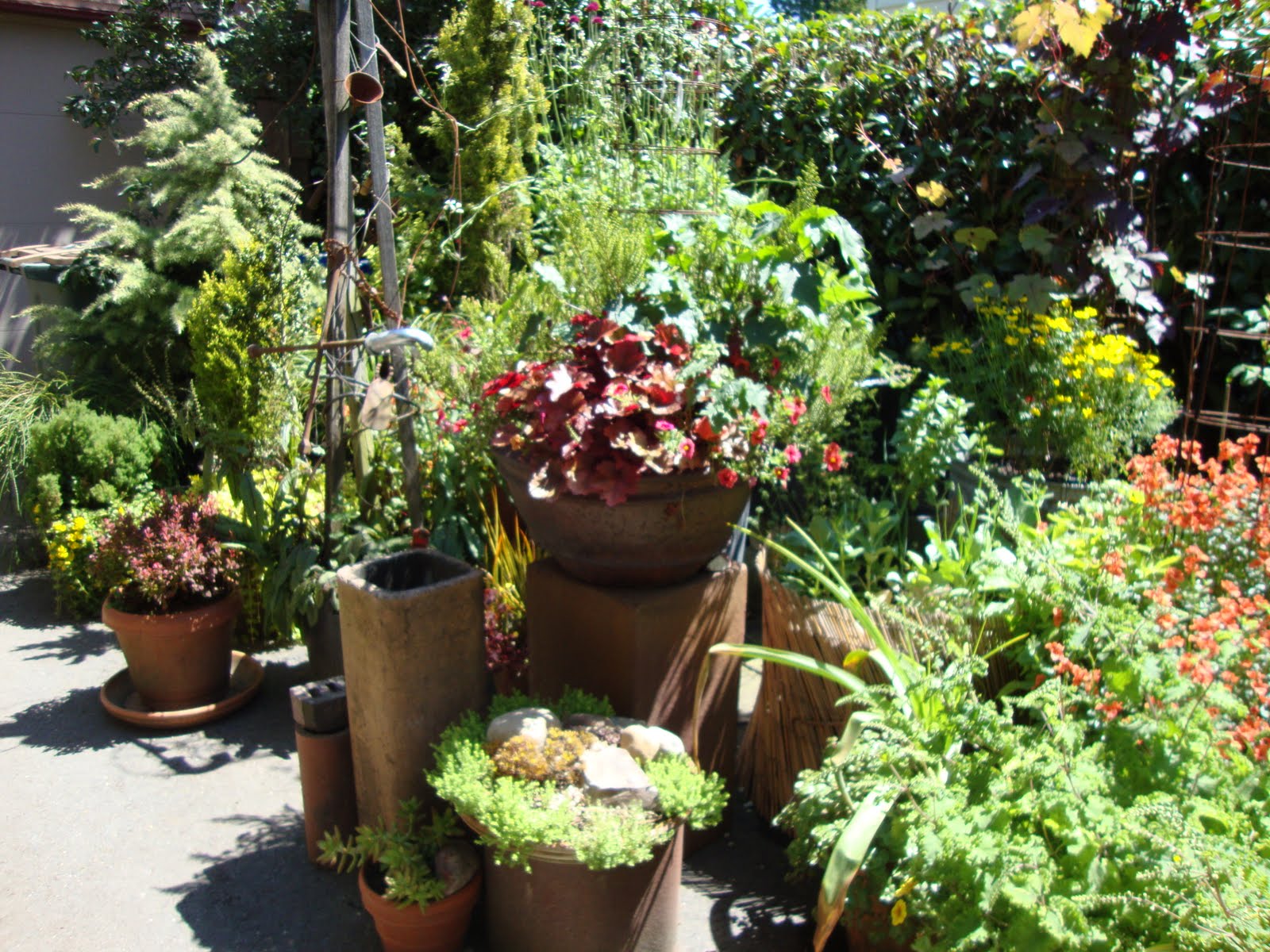 danger garden: The garden of Kate Farley