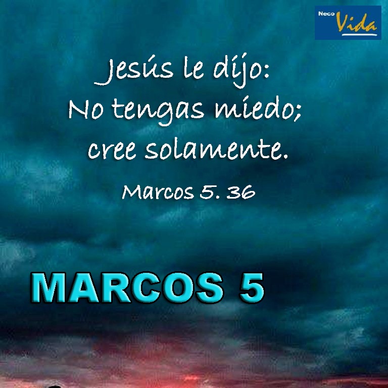 Neco Vida: Leyendo... Marcos capítulo 5