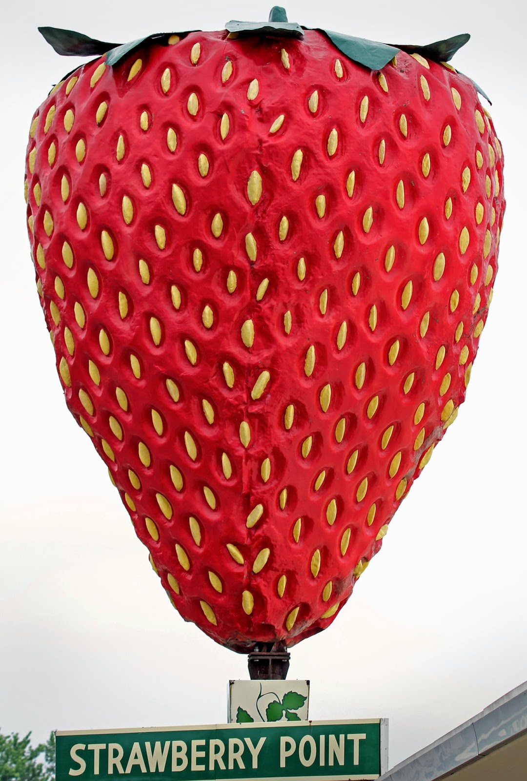 Funke Photos: World's Largest Strawberry
