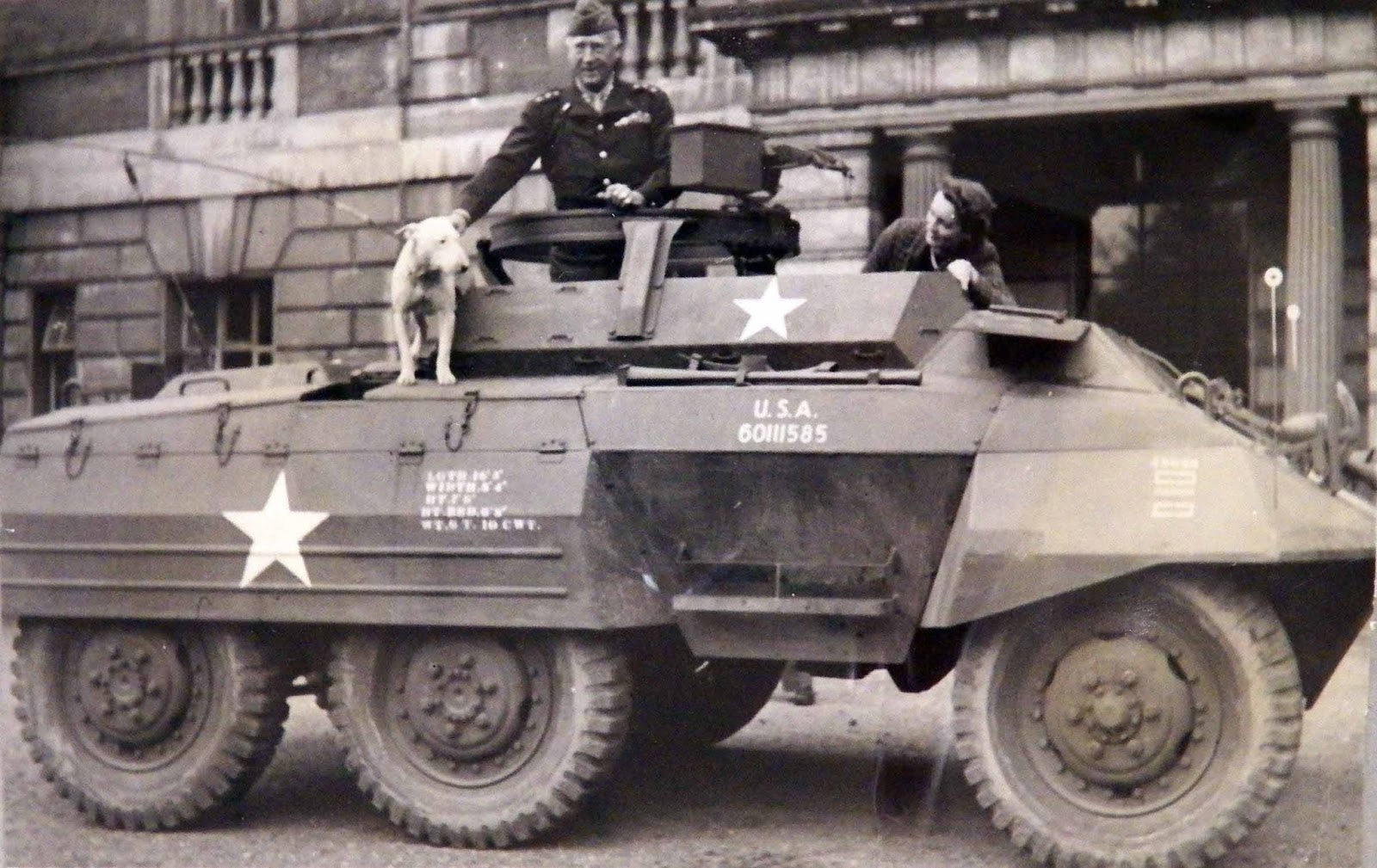 NUNCAJAMAS COCKER: GUILLERMITO; EL BULL TERRIER DEL GENERAL PATTON