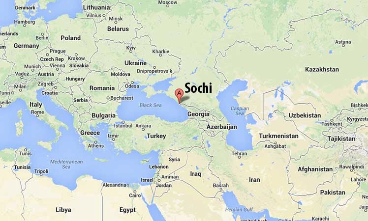 The Informed Artist: Countdown to Sochi 2014: Tuesday