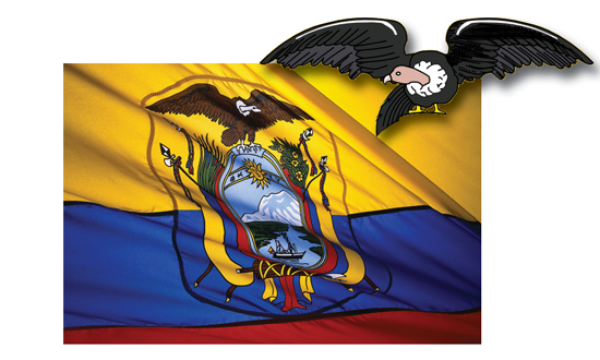 Science Doing: Andean Condor, Incan myth and pollution