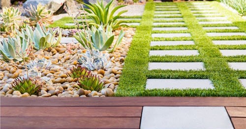 jardineria 115: TIPOS DE PLANTAS PARA SOL Y SOMBRA