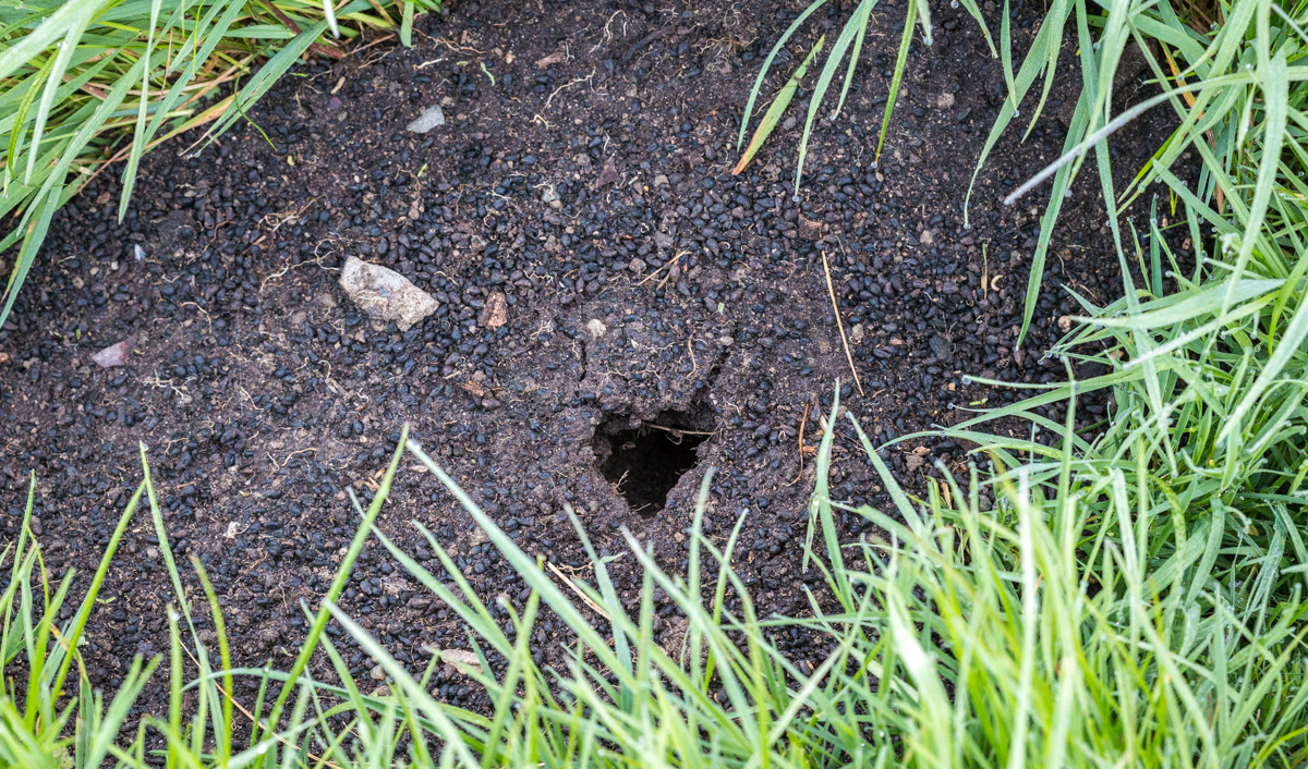 wcs: Who lives here?