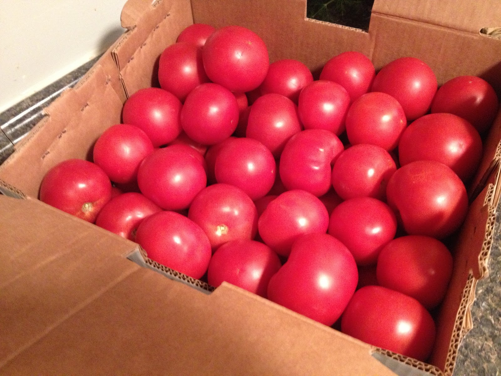 Third Sunday Dinner Blog: The Wonderful Experience, Making Ketchup