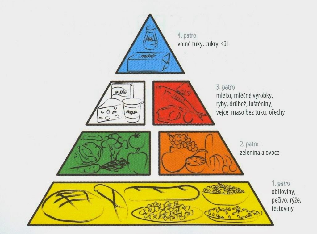Marri fit : Výživová pyramida - pomocník při hubnutí