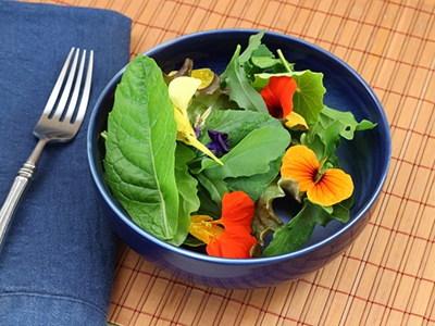 Primavera para comer - Aproveite a primavera e experimente comer flores ...