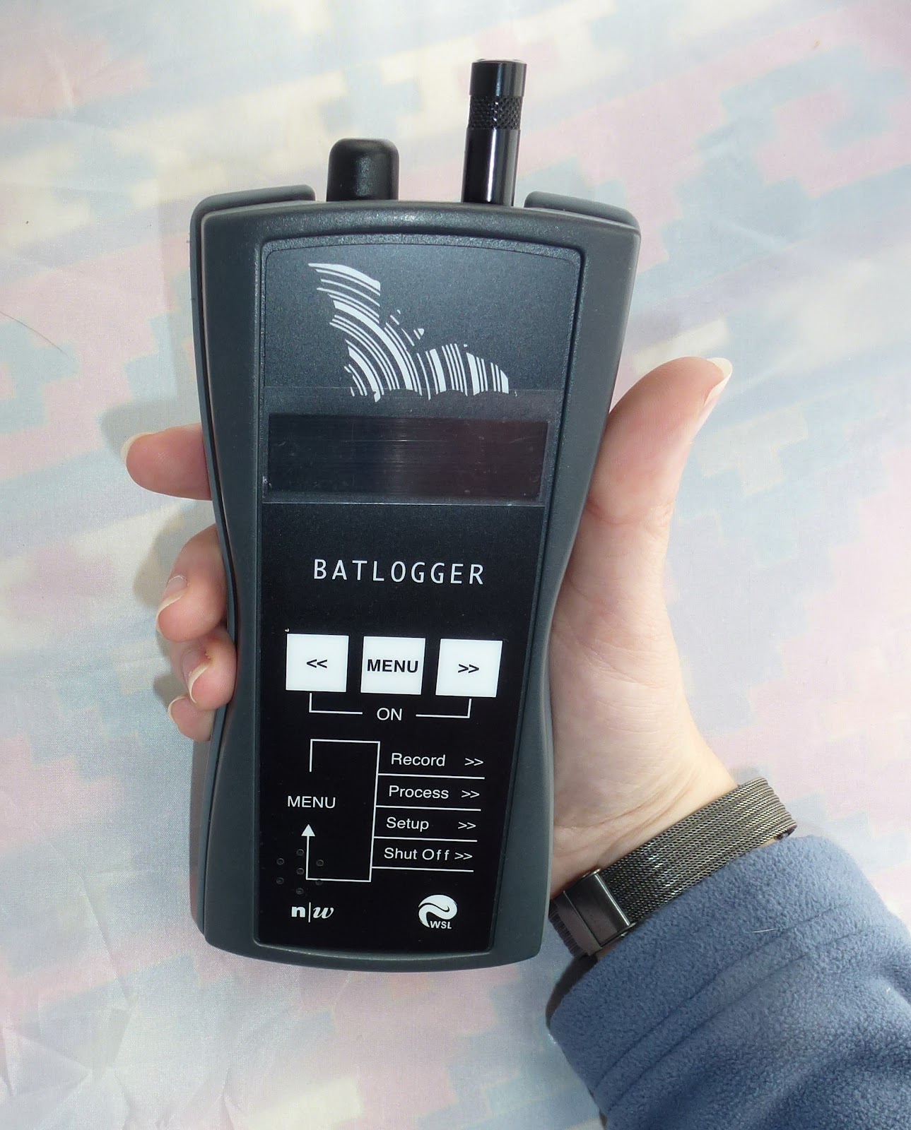 Roger and Sally's Bat Blog: Batlogger M by Elekon