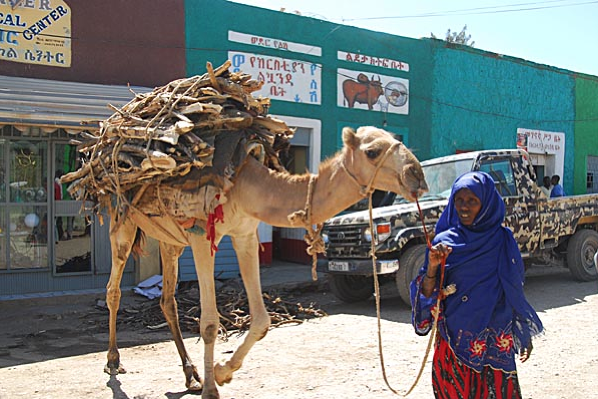 The No-Nonsense Guide to Ethiopia: Jijiga
